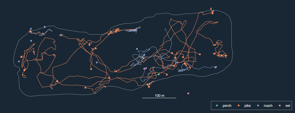 Real-Time Tracking | 3D Fish Telemetry